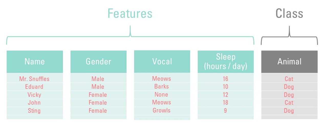 Using data science to decrease customer churn - Rockfeather
